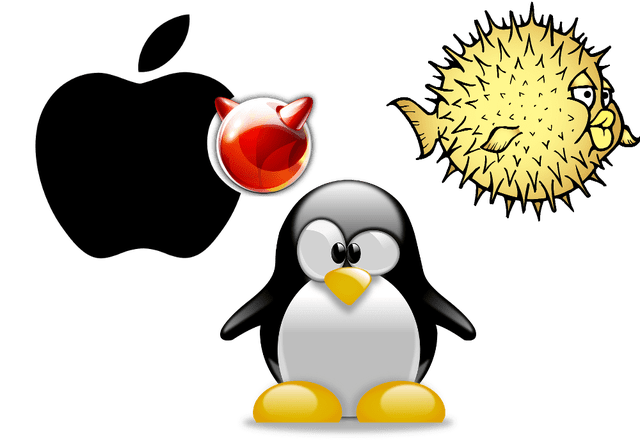 All OSes I've ever used - paspo's happy place